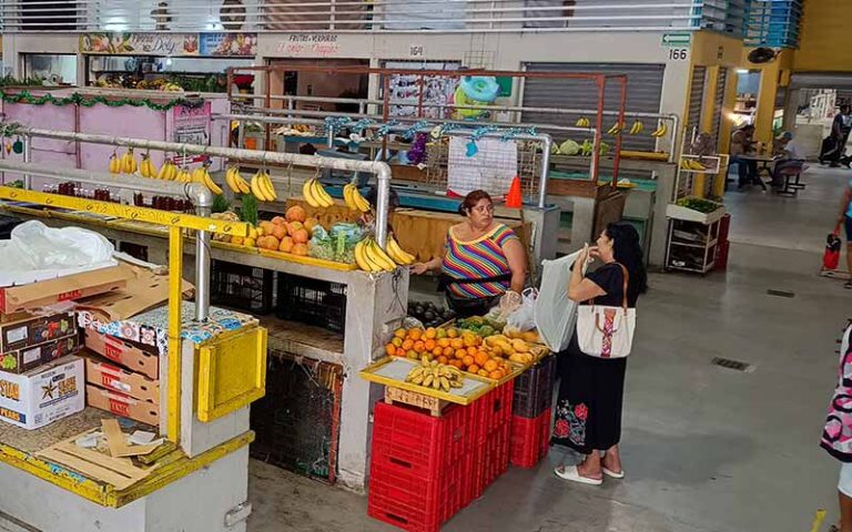 16 Fun Things To Do In Progreso, Mexico – or nearby